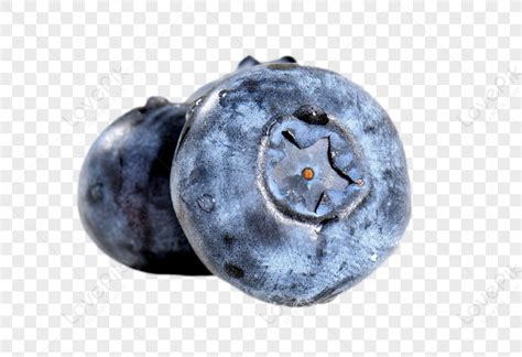 블루 베리 Png 일러스트 무료 다운로드 Lovepik