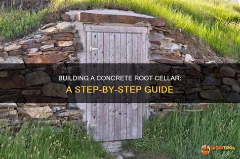 Building A Concrete Root Cellar A Step By Step Guide Shuntool