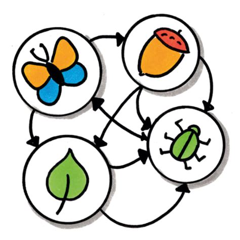 Wechselbeziehungen Im Ökosystem Innovation Wiki By Verrocchio Institute