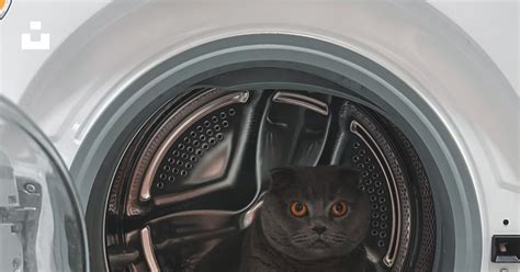 세탁기 안에 앉아 있는 검은 고양이 사진 Unsplash의 무료 앙카라 이미지