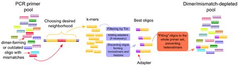 Schematic Diagram Of The Pipeline For Updating Primer Pools Download Scientific Diagram