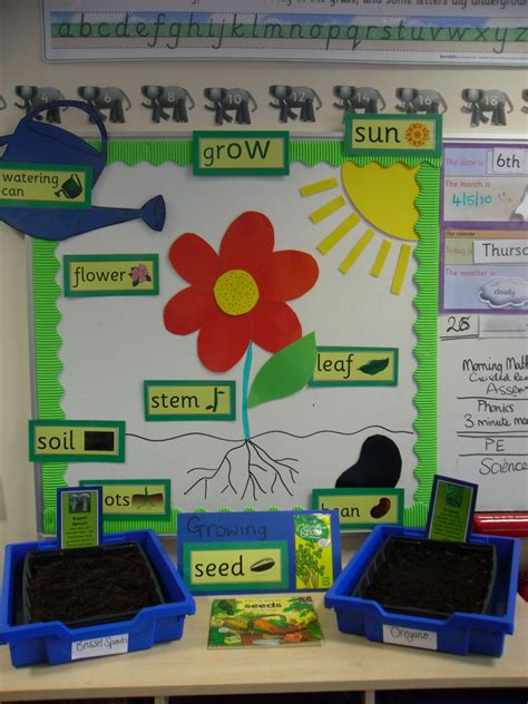 Science Themes For Kindergarten