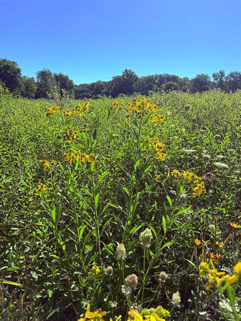 Steve Widman Steve Widman Added A New Photo