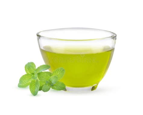 The Hot Mint Tea With Mint Leaves In Cup Stock Image Image Of Garden Herb 351542501