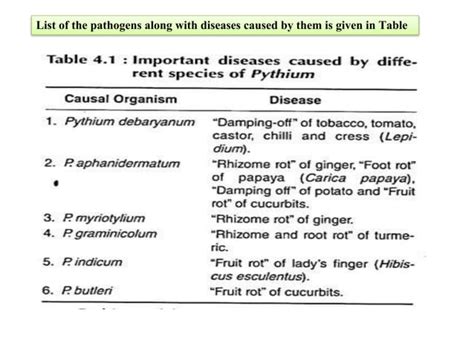 Ppt Presentation For B Sc I Life Cycle Of Pythium 1 Pdf