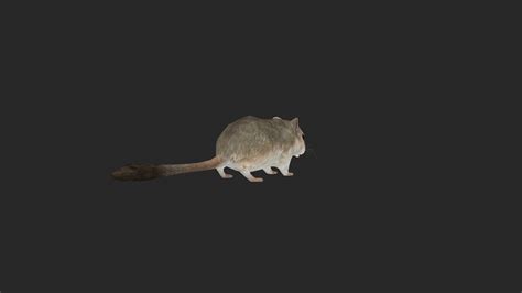3d Model Making 3d Mouse In Blender Vr Ar Low Poly Cgtrader
