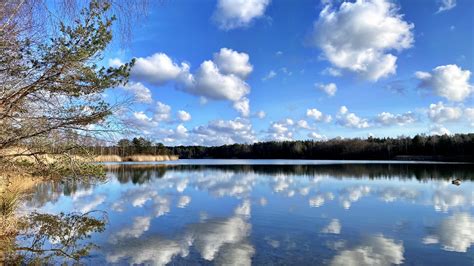 Foto Van De Dag 1001 Is Van Tamara Borst Valkenswaard24