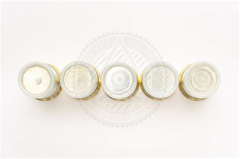 Патрон DDupleks Monolit, калибр 12/70, пуля 32 г (22100008) – купить в ...