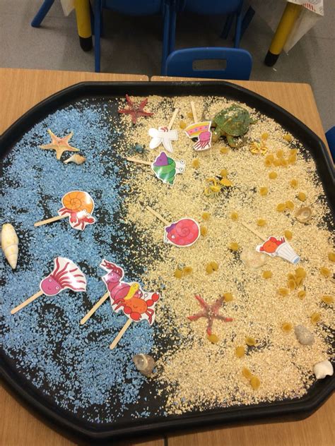 Planning Ideas For Sharing A Shell At Jesse Dedmon Blog