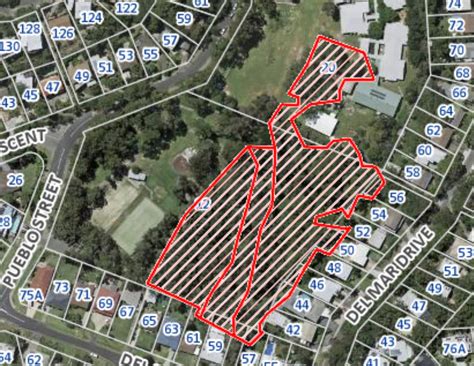 Did You Know Susan Copacabana Tree Preservationists Facebook