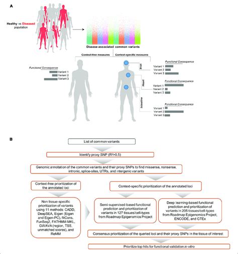Schematic Of Methods For Characterizing Functional Consequences Of Download Scientific