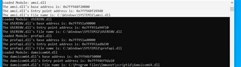 Amsi Assembly Scanning Cybersecurity By Irm