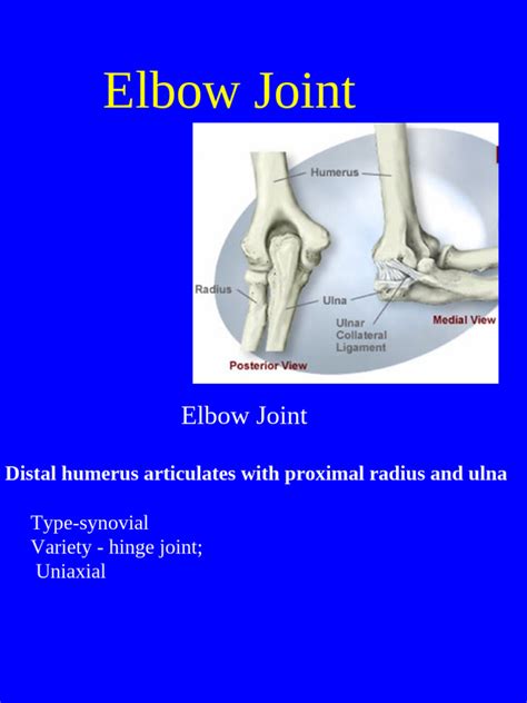 Elbow Complex Pdf
