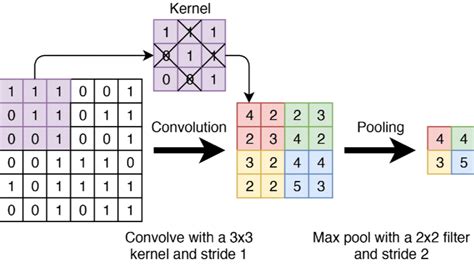 Pooling Layers In Convolutional Neural Networks Cnns A Beginners Guide