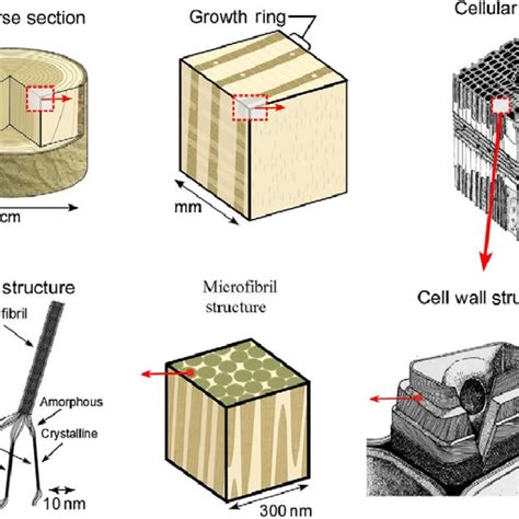 Pdf Nanocellulose Preparation Method And Applications