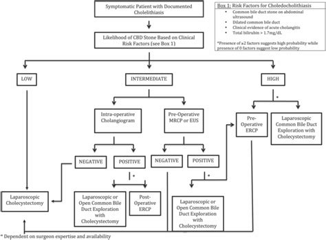 Clinical Spotlight Review Management Of Choledocholithiasis A Sages