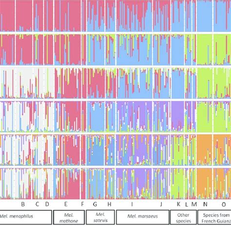 Structure Plot Based On 12 Polymorphic Microsatellite Loci For 15 Download Scientific Diagram