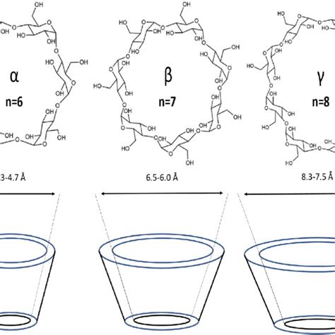 Different Cyclodextrin Structure α Cd β Cd γ Cd Download Scientific Diagram