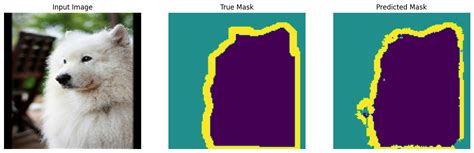 Image Segmentation Tensorflow Core