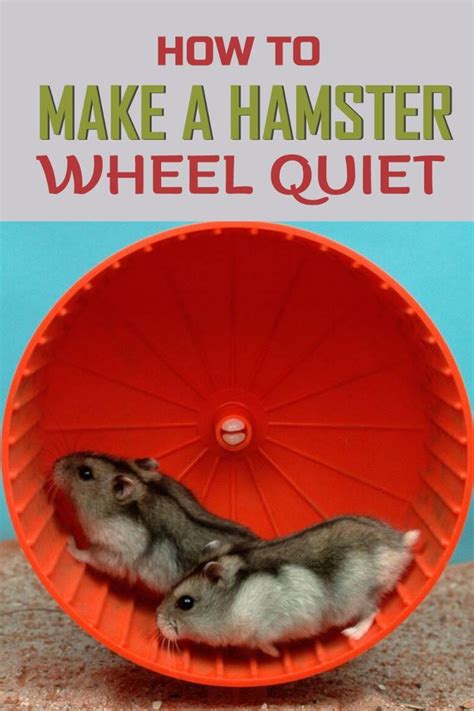 How To Make A Hamster Wheel Quiet Hamster Wheel Hamster Hamster Cage