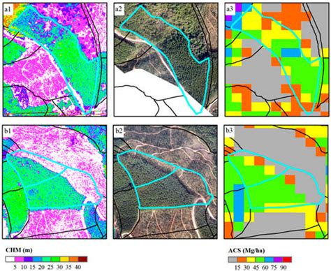 Remote Sensing Special Issue Monitoring Forest Carbon Sequestration