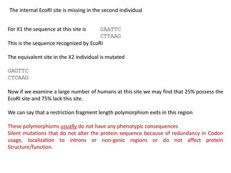 Restriction Fragment Length Polymorphism Powerpoint Slides Learnpick India