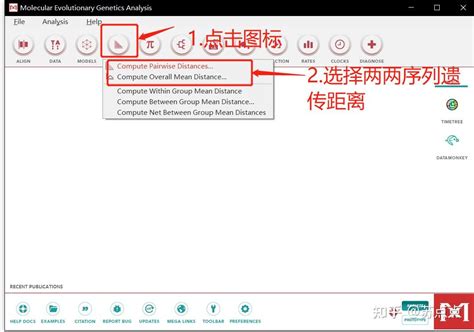 如何使用mega软件进行序列比对、计算遗传距离以及构建系统发育树？（收藏版） 知乎