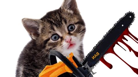 Chainsaw Cat Youtube