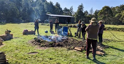 How To Make Biochar At Home Tin Dragon Cottages