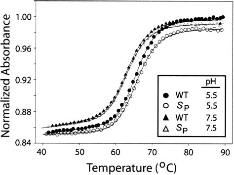 Structure Of The U6 Rna Intramolecular Stem Loop Harboring An Sp Phosphorothioate Modification