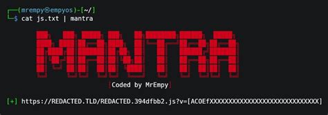 eman Ćatić on linkedin want to find api keys in js files use a tool