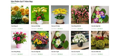 Full Code Báo Cáo Đồ Án Website Bán Hoa Tươi đạt 95đ Môn Phát Triển Ứng Dụng Web Của Chủ Tus