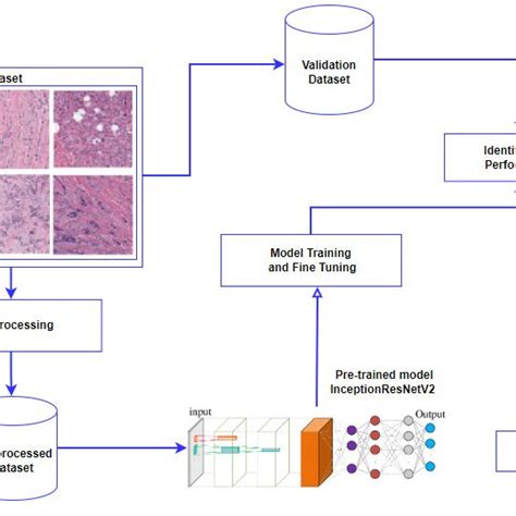 Proposed Methodology Workflow Download Scientific Diagram
