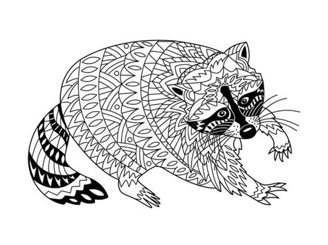 Dibujo De Mapache Para Adulto Para Colorear Y Imprimir Dibujos Para