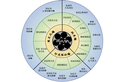 【热点文章】四氧化三铁纳米粒子在酶催化领域的应用研究进展 全国化学试剂信息中心《化学试剂》期刊