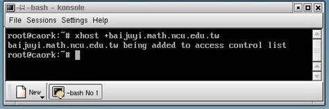 Xhost 和displayxhost Display Csdn博客