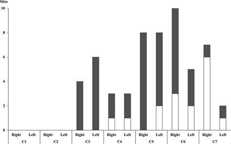 Distribution Of Cervical Vertebral Osseous Lesions The Osseous Lesions