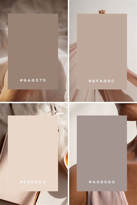 Neutral Aesthetic Color Palette With Hex Codes Beier Branding In 2024 House Color Palettes