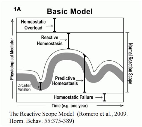The Reactive Scope Model Department Of Biology
