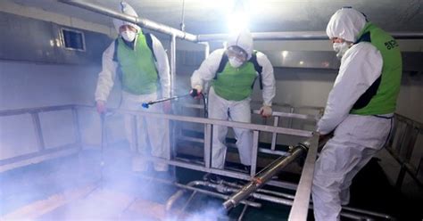 지카 바이러스 예방 소독