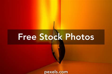 Background Single Color Images Photos Download The Best Free Background Single Color Images