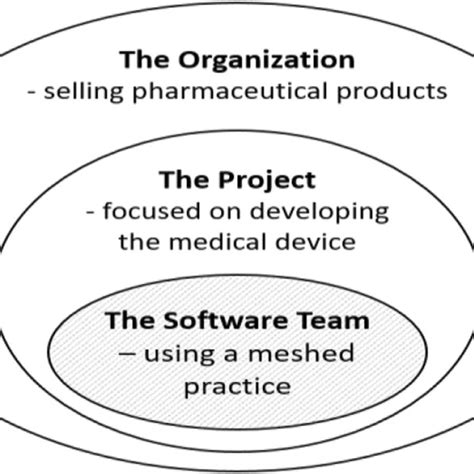 The Unit Of Analysis And Its Context Download Scientific Diagram