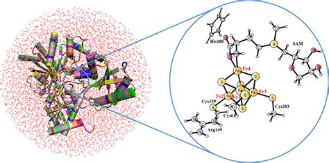 System Used In QM MM Calculations On The Right Side An Enlarged View Download Scientific