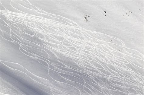 겨울에 스키와 스노보드를 사용한 눈 덮인 오프 피스트 스키 슬로프 0명에 대한 스톡 사진 및 기타 이미지 0명 가루눈