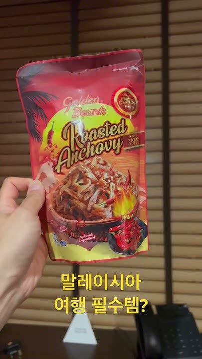 말레이시아 선물 국룰 Youtube