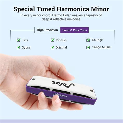 Harmo Polar Diatonic Harmonica Key Of Bb Harmonic