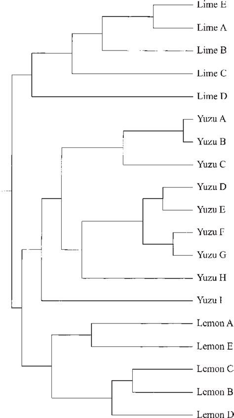 Cluster Analysis Of Ms Fragment Isotope Ratios Of The Monoterpene