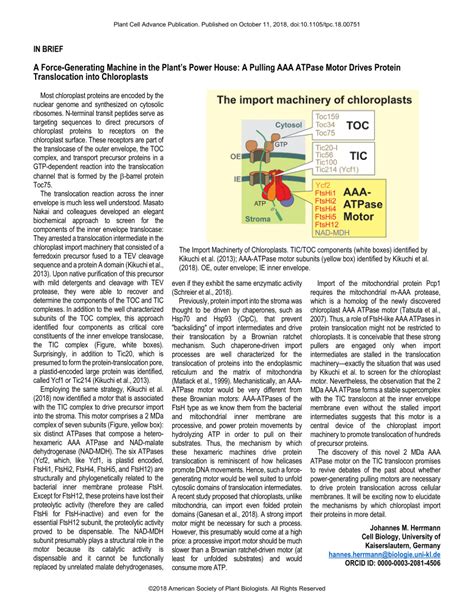 Pdf A Force Generating Machine In The Plants Powerhouse A Pulling Aaa Atpase Motor Drives