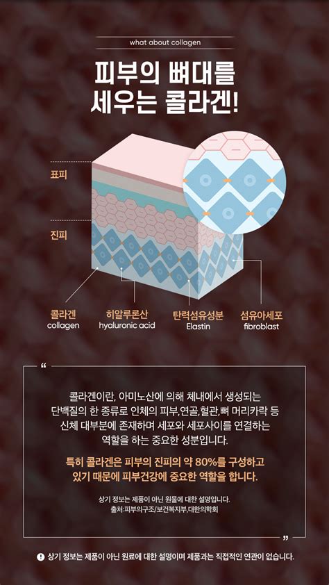 시그니처 콜라겐 히알루론산 엘라스틴 비타민c 1개입 감도 깊은 취향 셀렉트샵 29cm