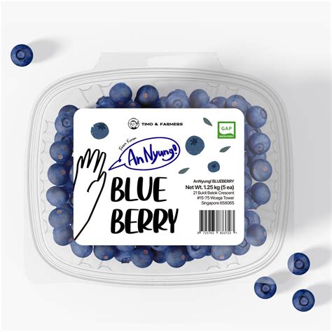 블루베리 라벨 디자인 패키지 포트폴리오 크몽